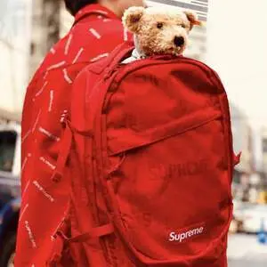 Supreme Backpack