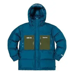Supreme Fw19 Week 16 Gore-tex 700-fill Down Parka Jacket
