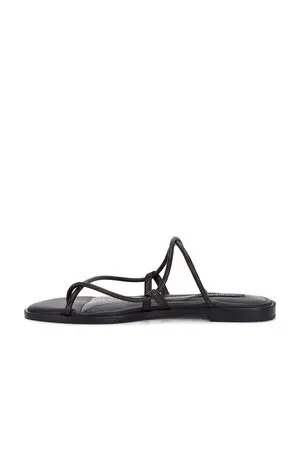 A.emery Silas Sandal - Bistre
