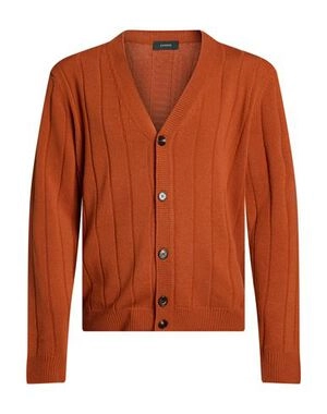 ZANONE Virgin Wool And Cashmere Cardigan - Rust
