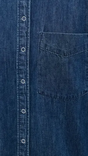 Ayr The Deep End Button Down