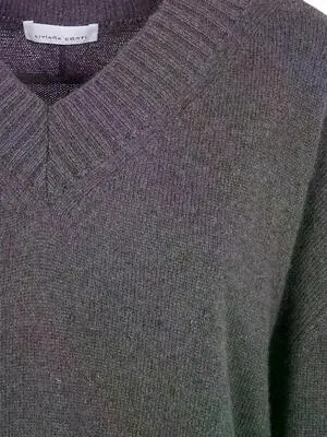 Liviana Conti V-neck Long-sleeved Sweater