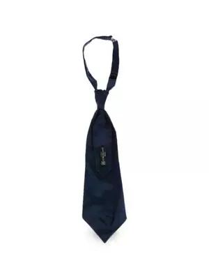 Corneliani Silk Ascot Tie