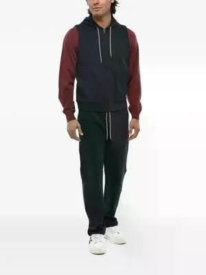 Corneliani Sleeveless Zip-up Hoodie - Blue