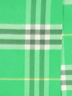Burberry Plaid Scarf