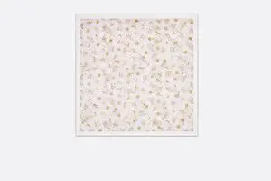 Dior Printed Blanket
