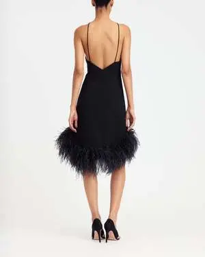 16Arlington Addy Mini Dress With Feather Trim