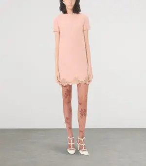 Valentino Garavani Wool-silk Lace Trim Mini Dress