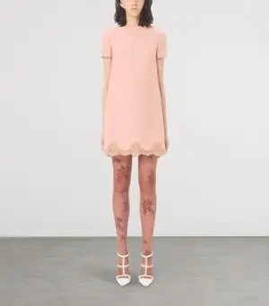 Valentino Garavani Wool-silk Lace Trim Mini Dress