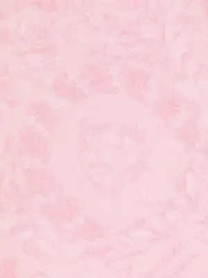 Versace Printed Scarf