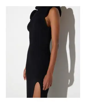 Elisabetta Franchi Knit Dress With 3d Details