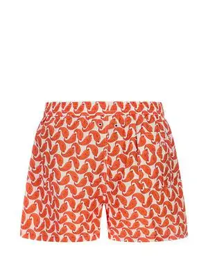 Kiton Paisley-print Swim Shorts