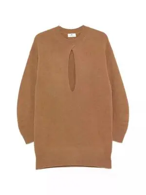 Elisabetta Franchi Cut-out Knitted Mini Dress - Brown