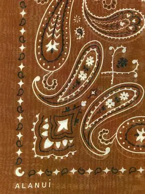 Alanui Paisley-print Square Scarf