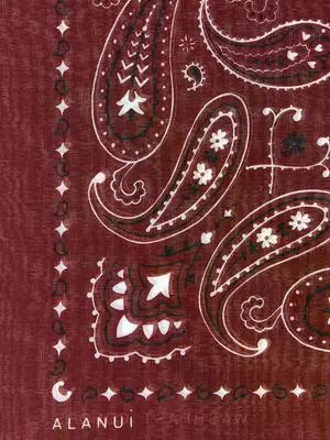 Alanui Paisley-print Square Scarf