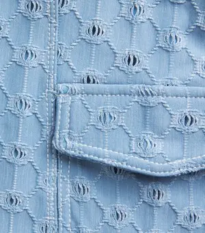 Devon Windsor Romina Mini Skirt - Blue