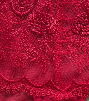 Simone Perele Lace Intrigue Tanga Briefs