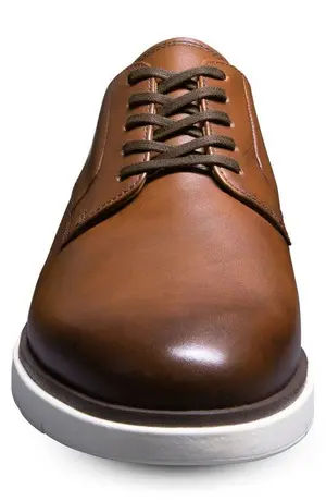Allen Edmonds Carson Derby - Chili