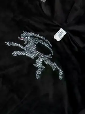 PROTOTYPES Nikki Rhinestone Embellished Hoodie