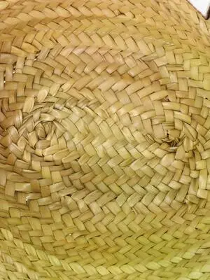 Loewe Basket Raffia Small Tote Bag