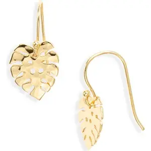 KIARA BY KI-ELE Manini Manoa Monstera Leaf Drop Earrings - Gold