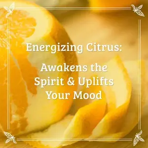 PHARMACOPIA NATURAL BODYCARE Citrus Shampooenergizing Aromatherapy