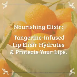 PHARMACOPIA NATURAL BODYCARE Tangerine Lip Elixir Balm
