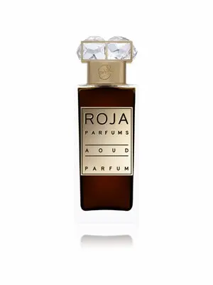 ROJA Aoud Parfum 30 Ml - Brown
