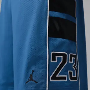 JORDAN Brooklyn Mesh Shorts