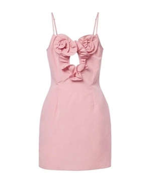 Magda Butrym Floral Applique Mini Dress