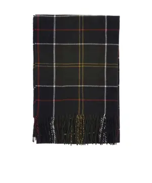 Barbour Check-pattern Fringed Scarf - Multi-color