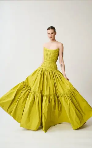 JUOZAS STATKEVICIUS Draped Corset Taffeta Maxi Dress