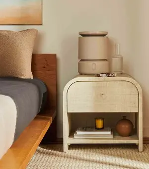 BLUEAIR Dreamwell Humidifier
