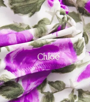 Chloé Rose Print Lace-detail Swimsuit