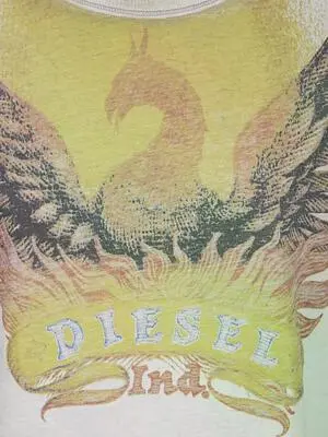 DIESEL® T-hilary Long-sleeved T-shirt With Phoenix Graphic - Neutrals