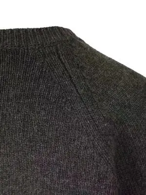 Max Mara Virgin Wool Crewneck Cardigan
