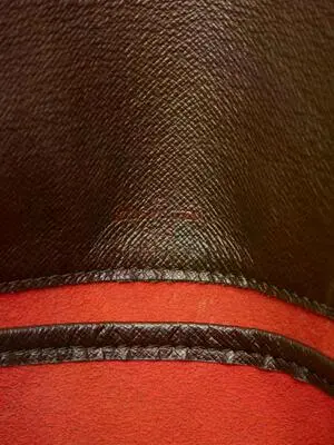 LOUIS VUITTON Damier Ebene Musette Tango Shoulder Bag