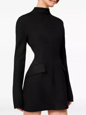 Sportmax Long-sleeve Mini Dress