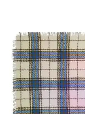 Eric Bompard Tartan-print Fringed Scarf - Neutrals