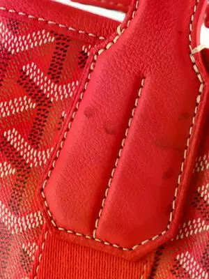 Goyard Belharra Coated Canvas Pm Tote Bag