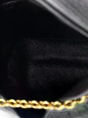 Saint Laurent Cassandra Pouch On Chain Leather Small Crossbody Bag
