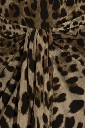 Dolce & Gabbana Animal Print Dress