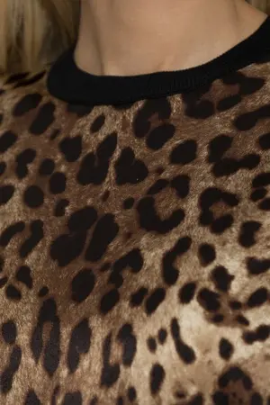 Dolce & Gabbana Animal Print Top
