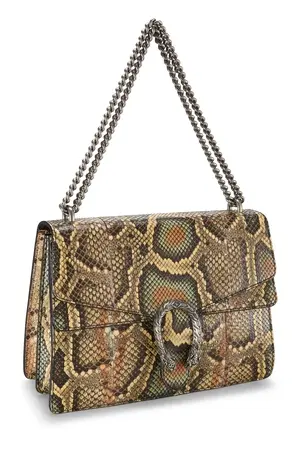 Gucci Multicolor Python Dionysus Shoulder Bag Medium