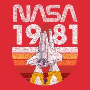 NASA Distressed Logo Sunset Graphic T-shirt