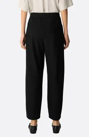 Eileen Fisher Arched Ankle Pants