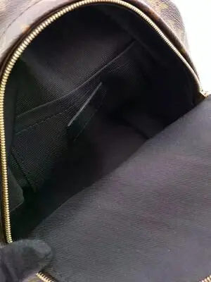 LOUIS VUITTON 2020 Palm Springs Monogram Backpack