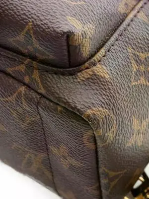 LOUIS VUITTON 2020 Palm Springs Monogram Backpack