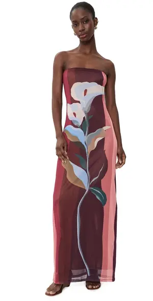 DRESS TO Brisa Strapless Maxi Dress