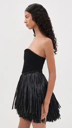 Aje Florentia Raffia Mini Dress